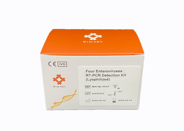 Kit Deteksi Norovirus RT PCR Tes Rotavirus Lyophilized Probe Fluoresensi