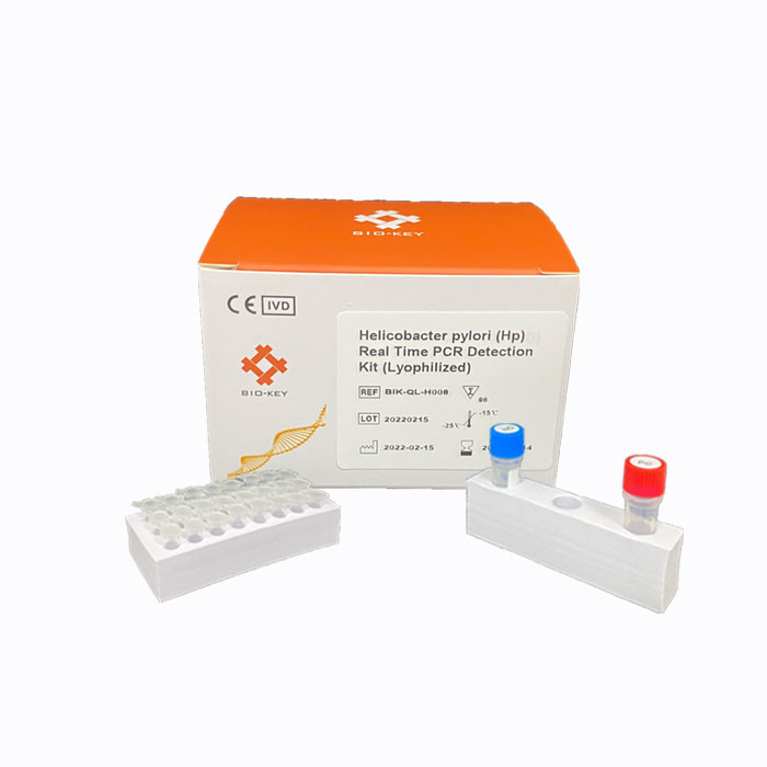 Penyakit Gastrointestinal Molecular Diagnostic Kit Deteksi PCR ...