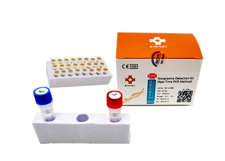 FeTOX Feline Cat Test Kit Toxoplasma Nucleic Acid Test PCR Taqman