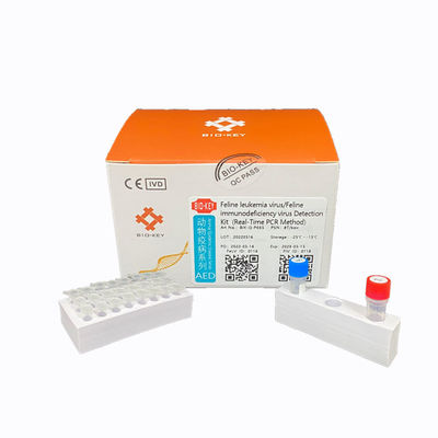 Kit Tes Kucing Kucing Leukemia Hewan QPCR AIDS FIV FeLV Test Kit DNA Taq